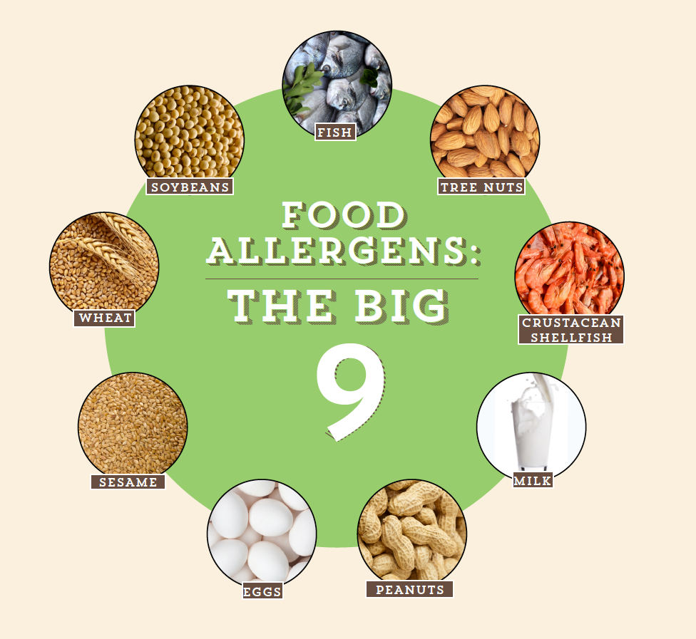 Allergen Protocol - Tally | Happy Toddler Tummies 🍼